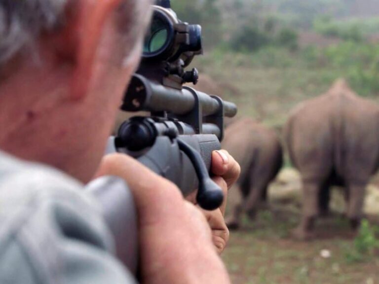 Tranquilizer Rifle - Pneu-Dart