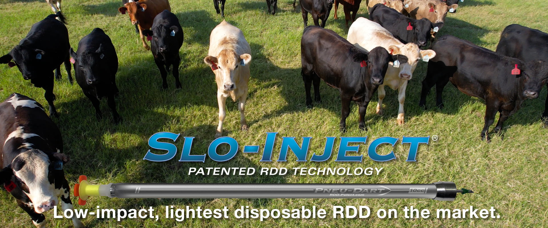 Cattle Connection - Pneu-Dart