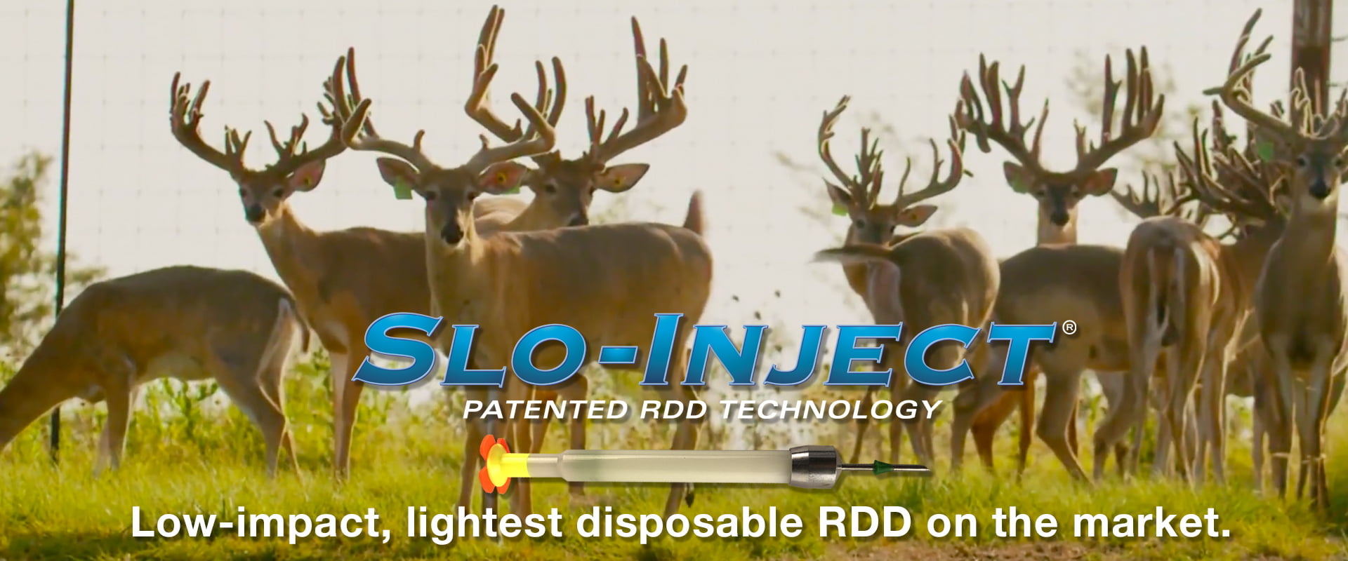 Deer Tracking - Pneu-Dart