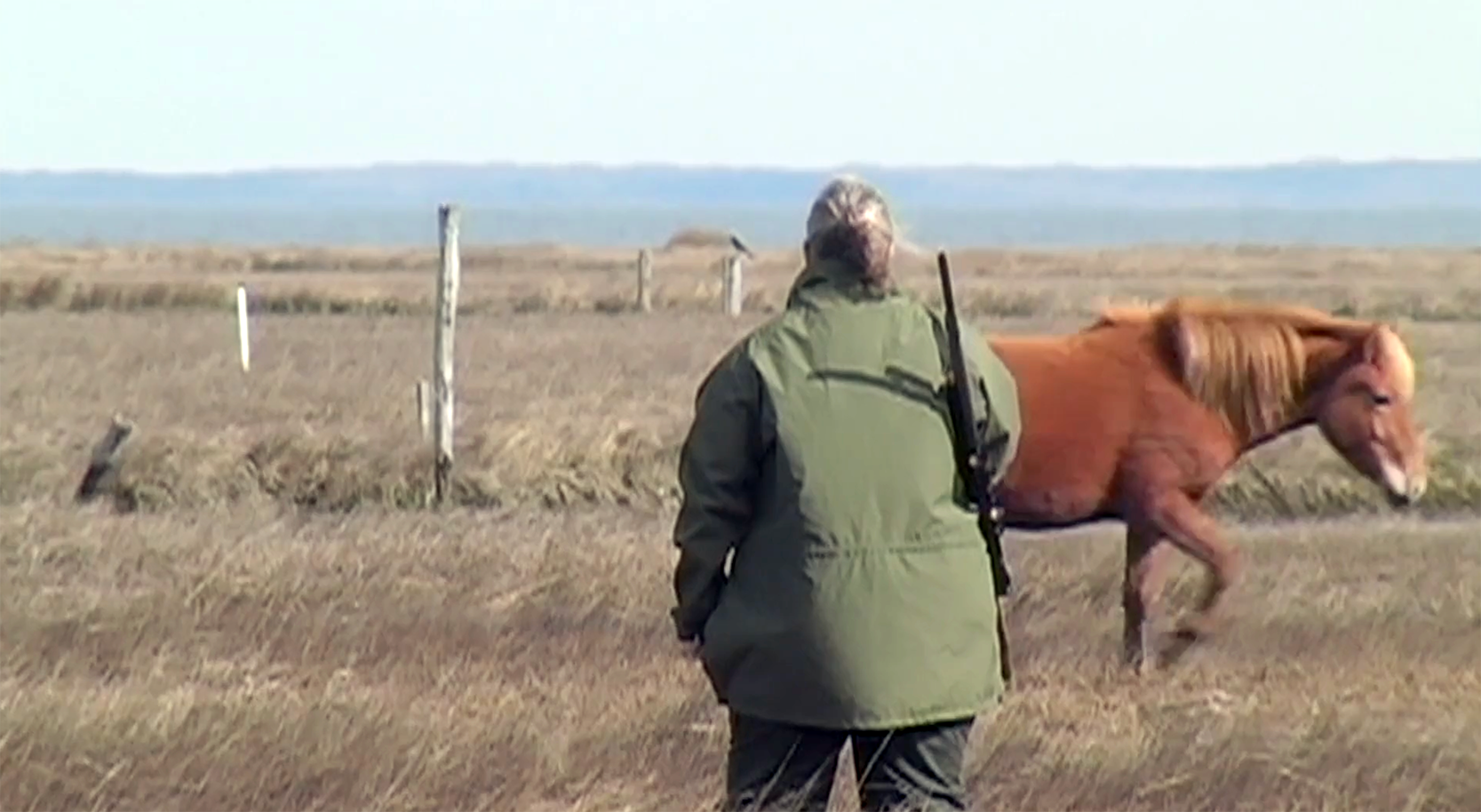 Horse Tranquilizer Gun - Pneu-Dart