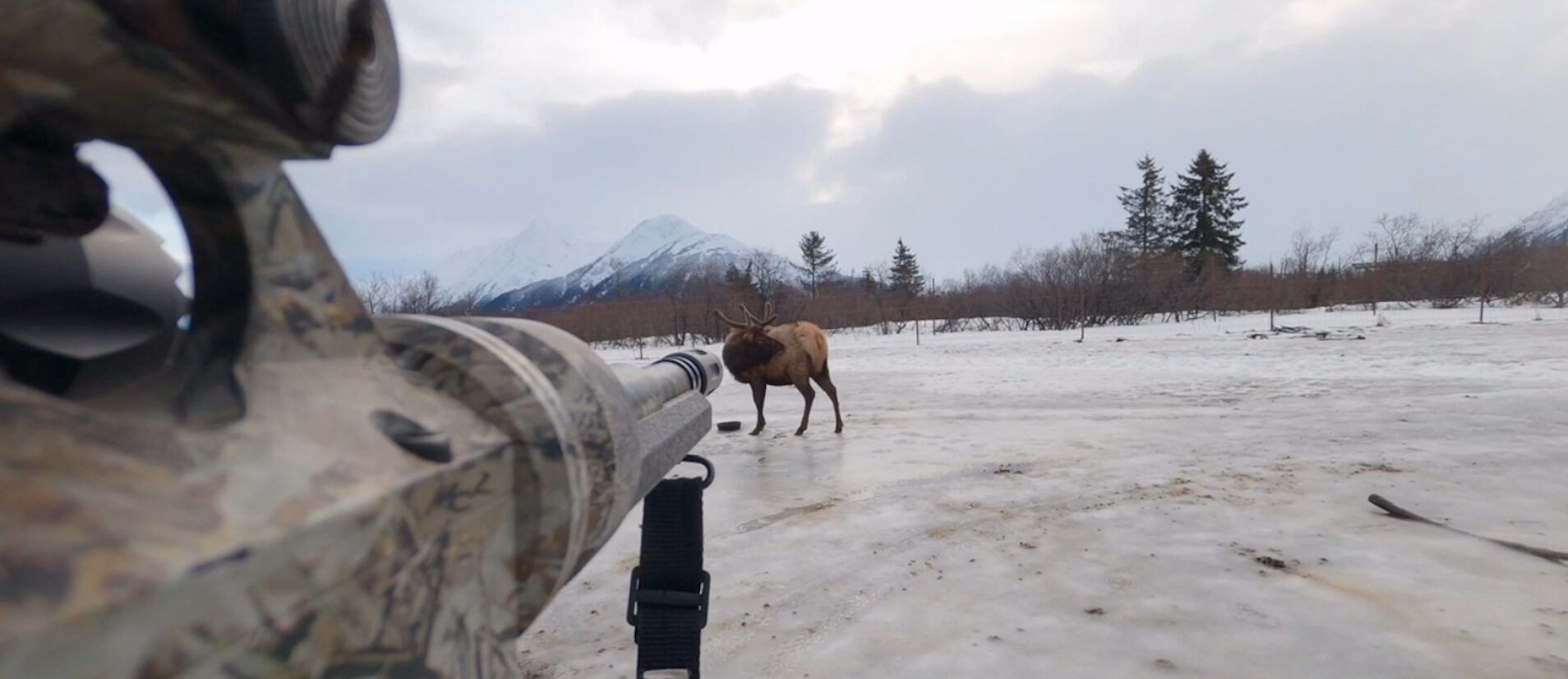 Best Tranquilizer Gun for Animals - Pneu-Dart