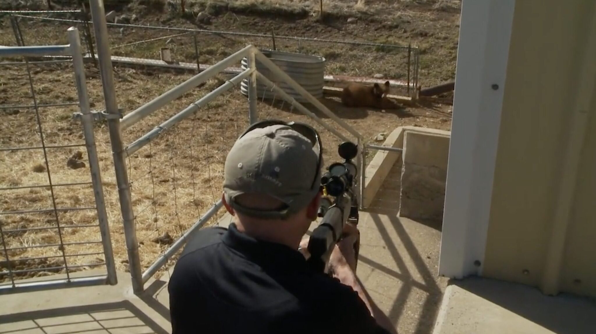 Tranquilizer Rifle - Pneu-Dart